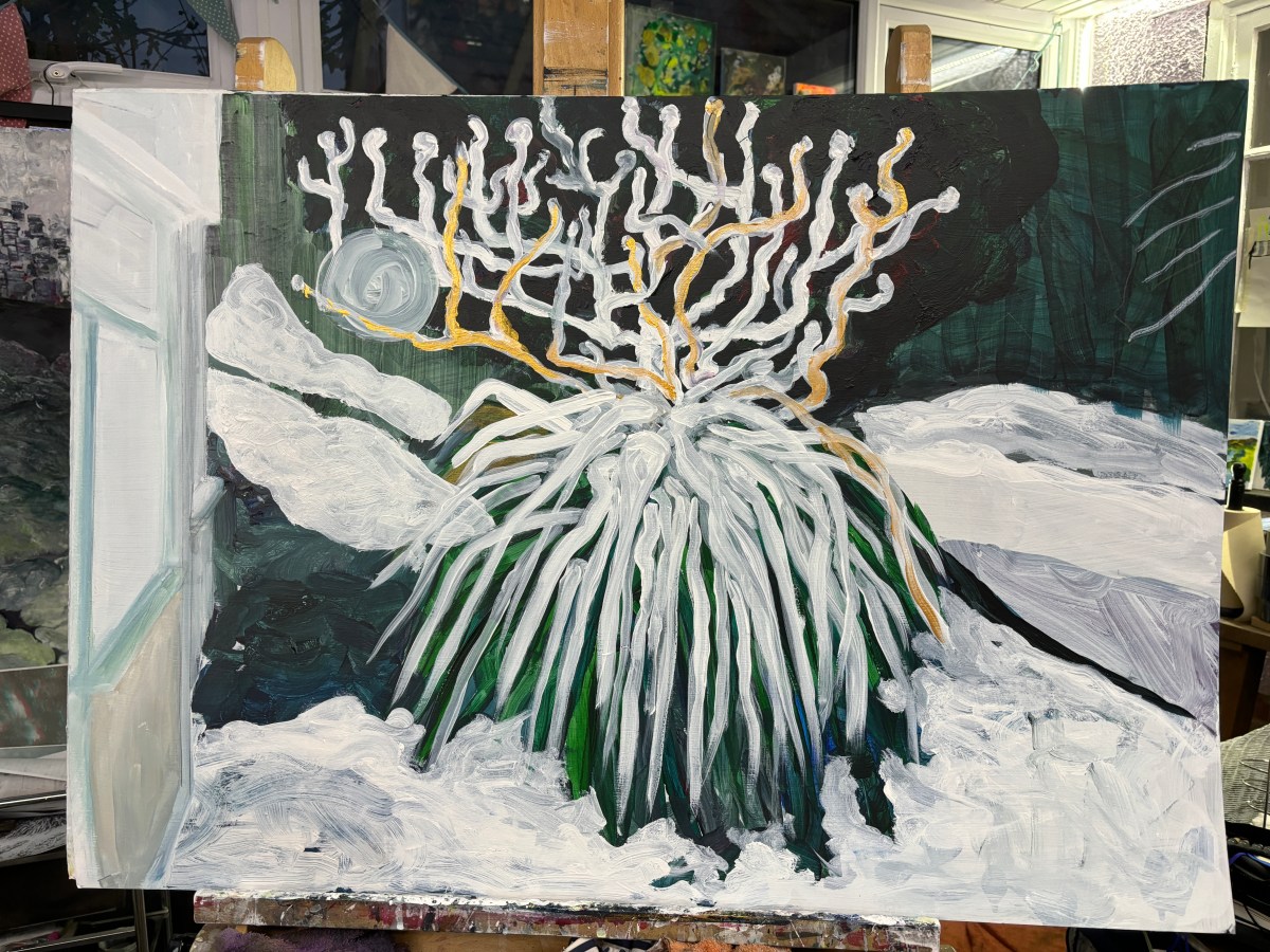 Sabre Shrub – Conboyhill Arts – art from stART to finish